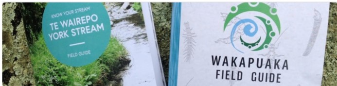 Field Guide Cover Competition | Poorman Valley Stream | Shape Nelson