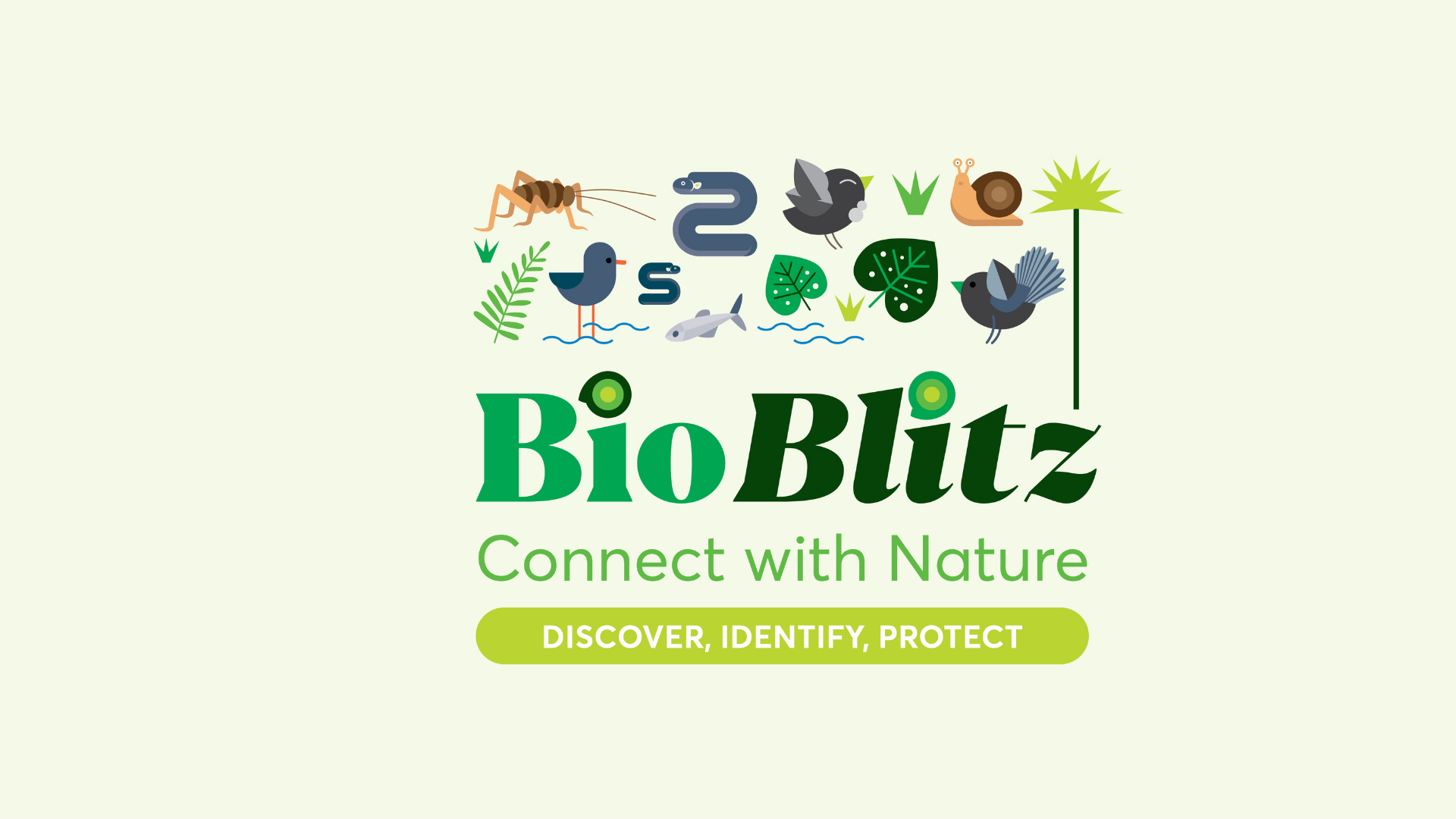 Maitai Bioblitz | Shape Nelson