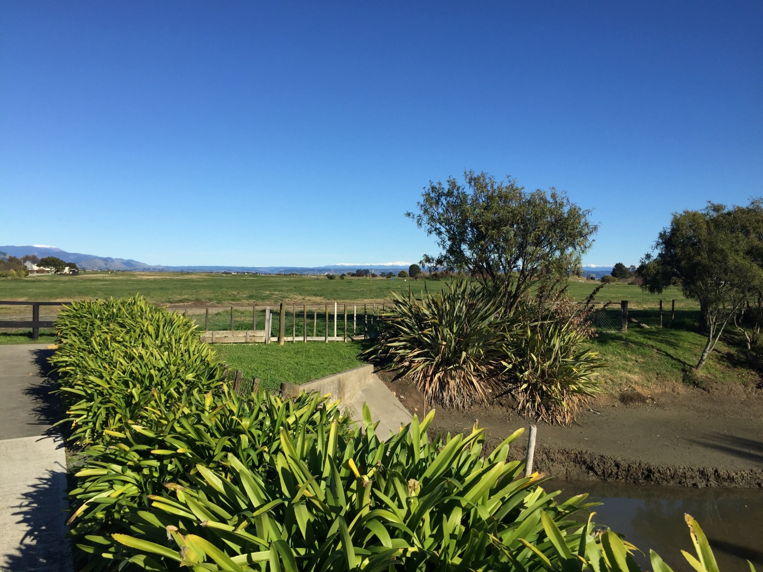 Awatea Pump Station | Shape Nelson