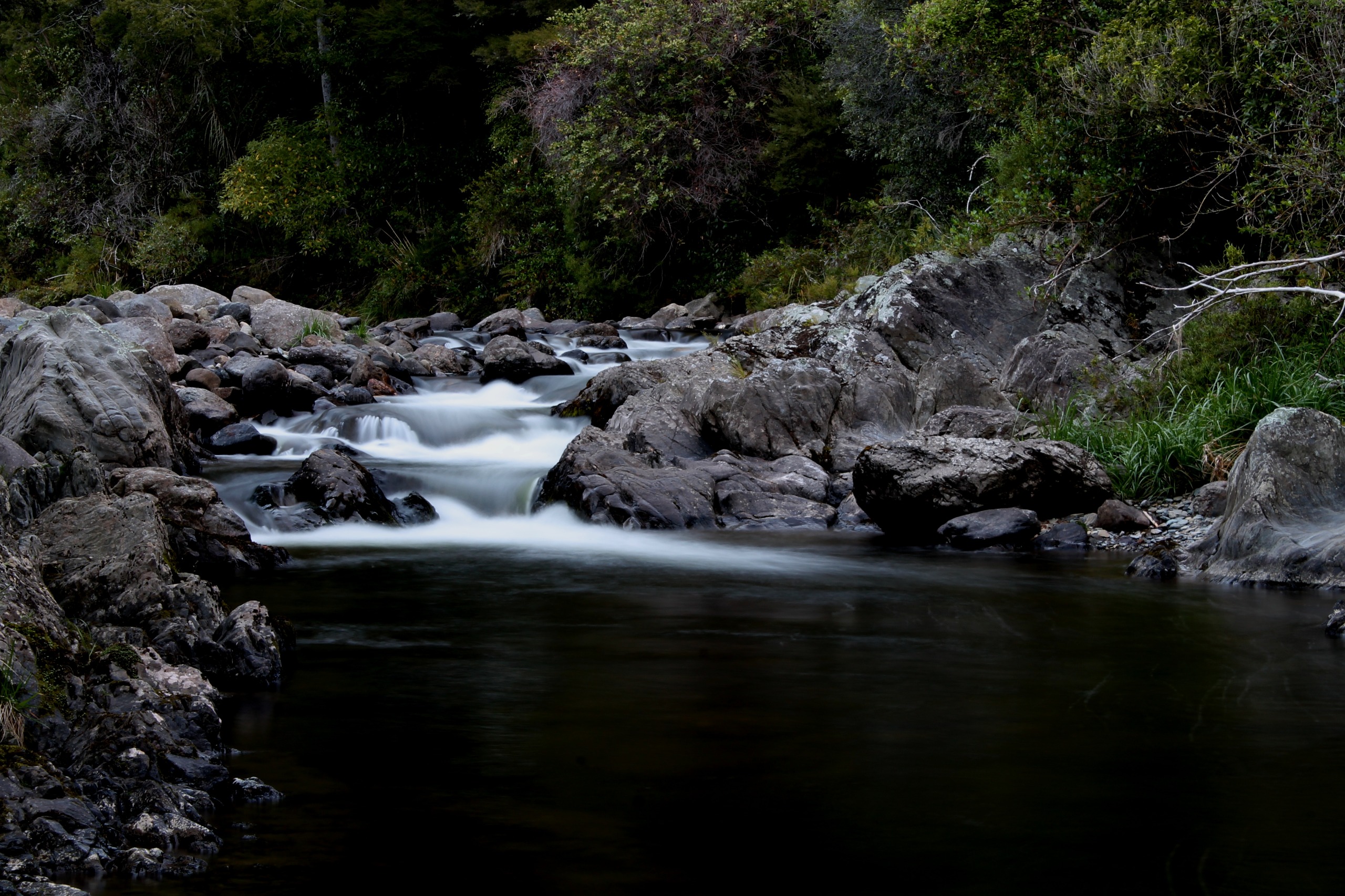 Project Mahitahi | Shape Nelson