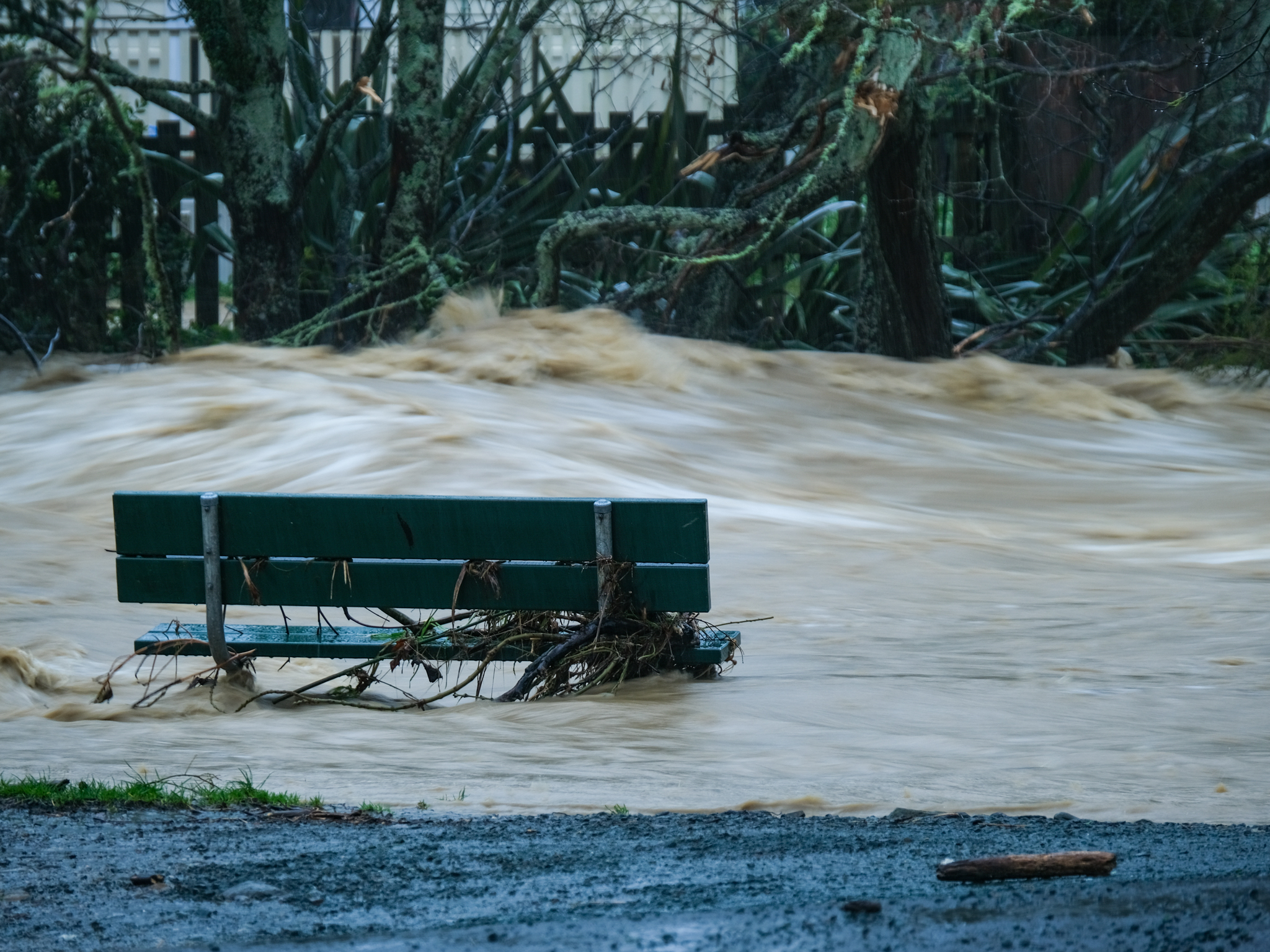 Recovering from August 2022 weather event | Shape Nelson