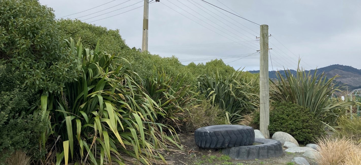 Flying Fox at the Glen | Shape Nelson