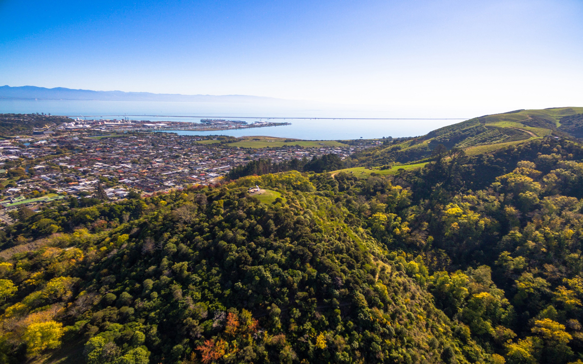 Login | Shape Nelson