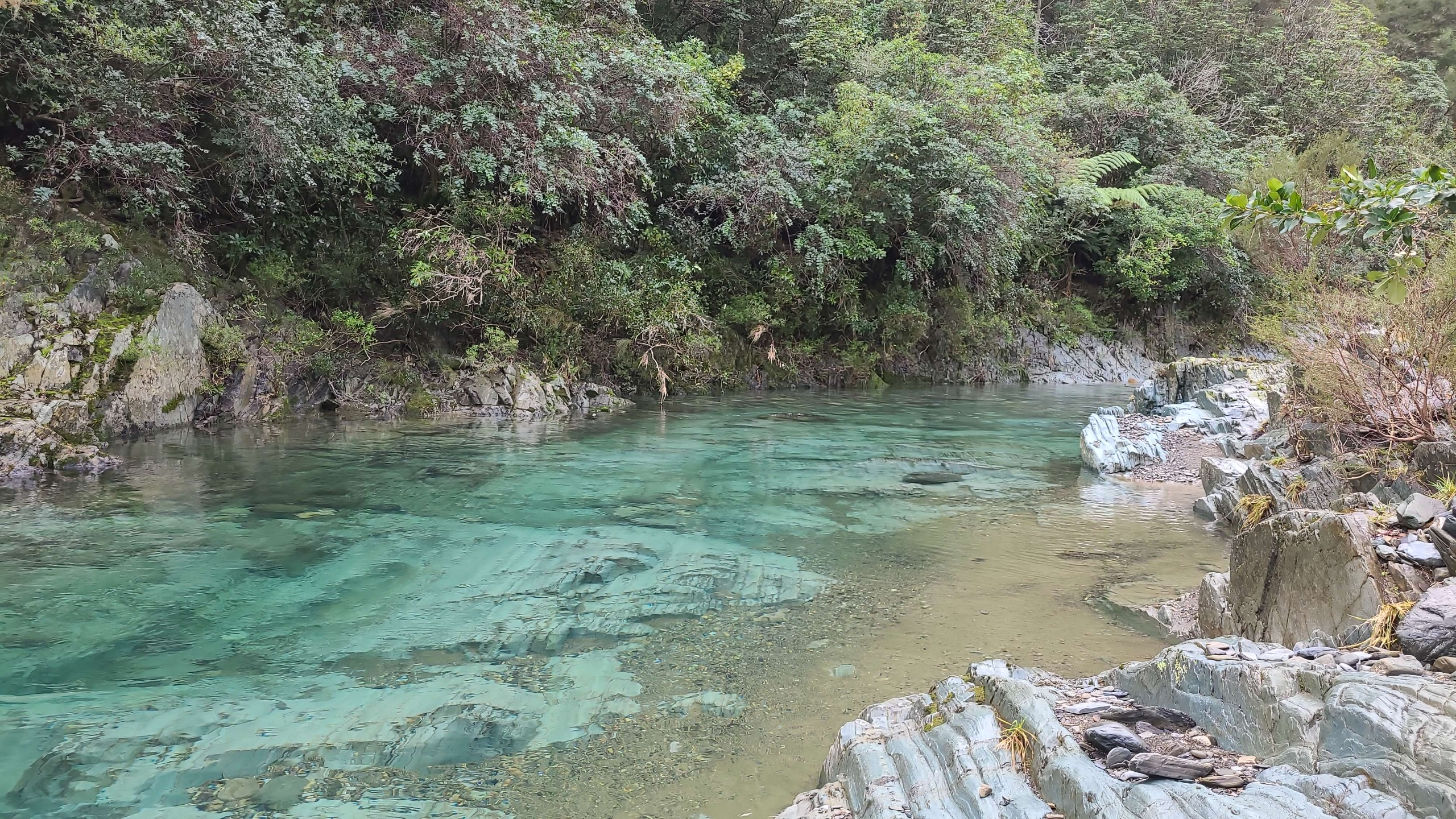 Roding Freshwater Management Unit | Nelson Freshwater Hub | Shape Nelson
