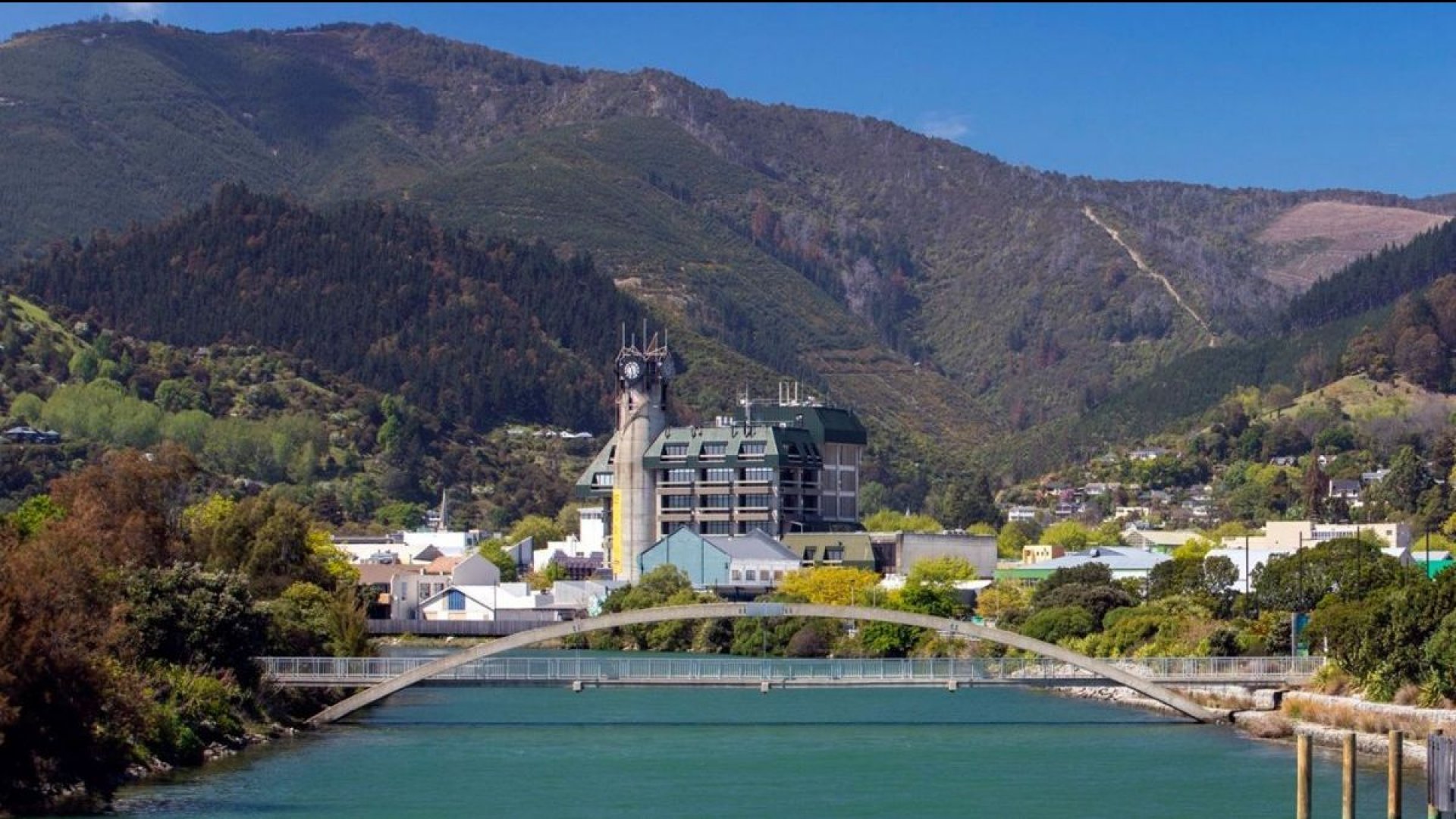 Amenity planting to get underway | Right Tree Right Place | Shape Nelson